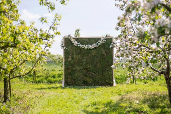 Styled shoot: trouwen in een boomgaard