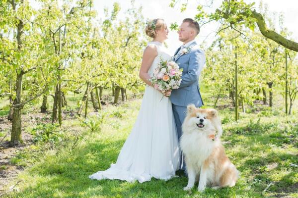 Styled shoot: trouwen in een boomgaard