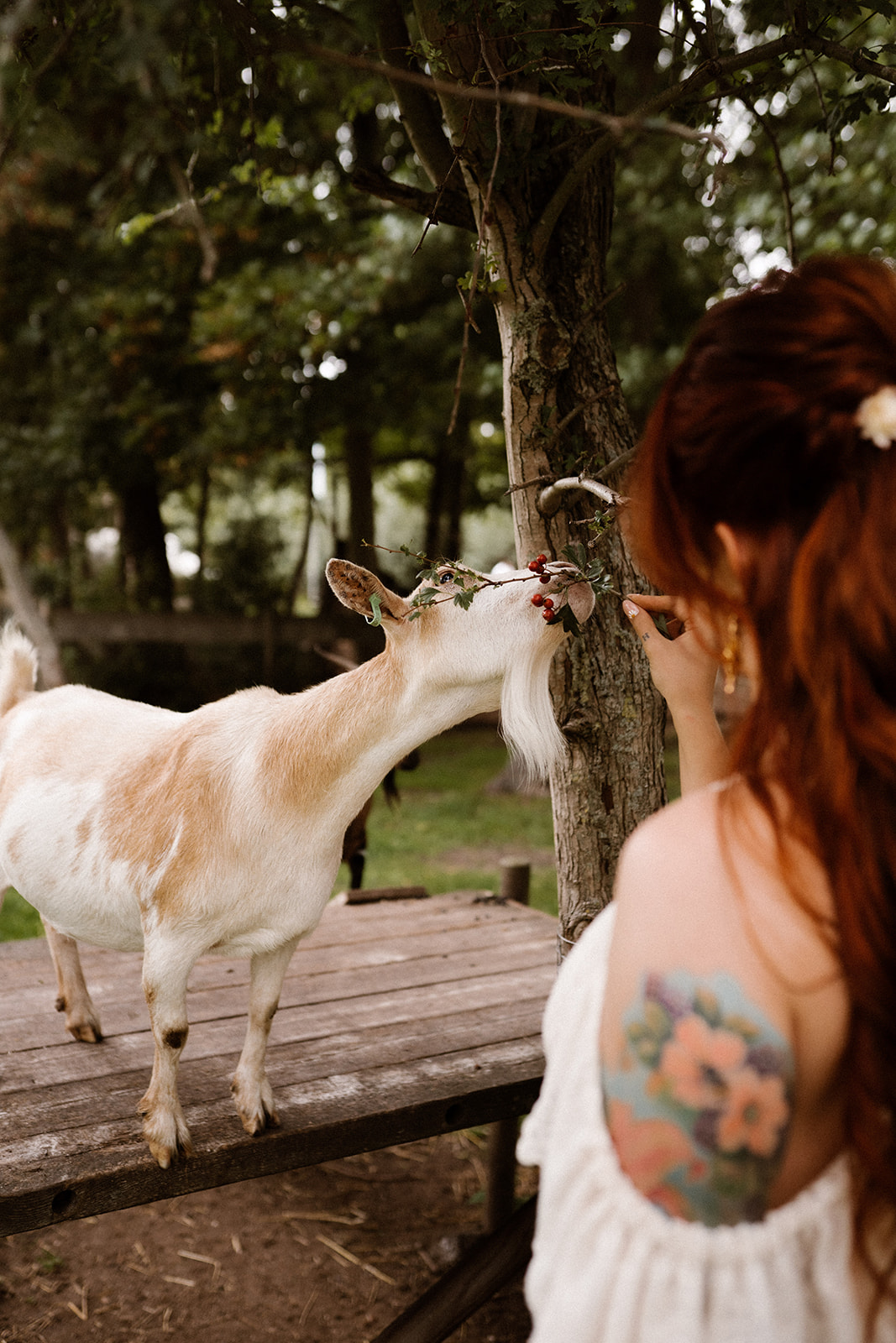 De eclectische bruiloft met jaren 70-tintje van Lotte en Kogul
